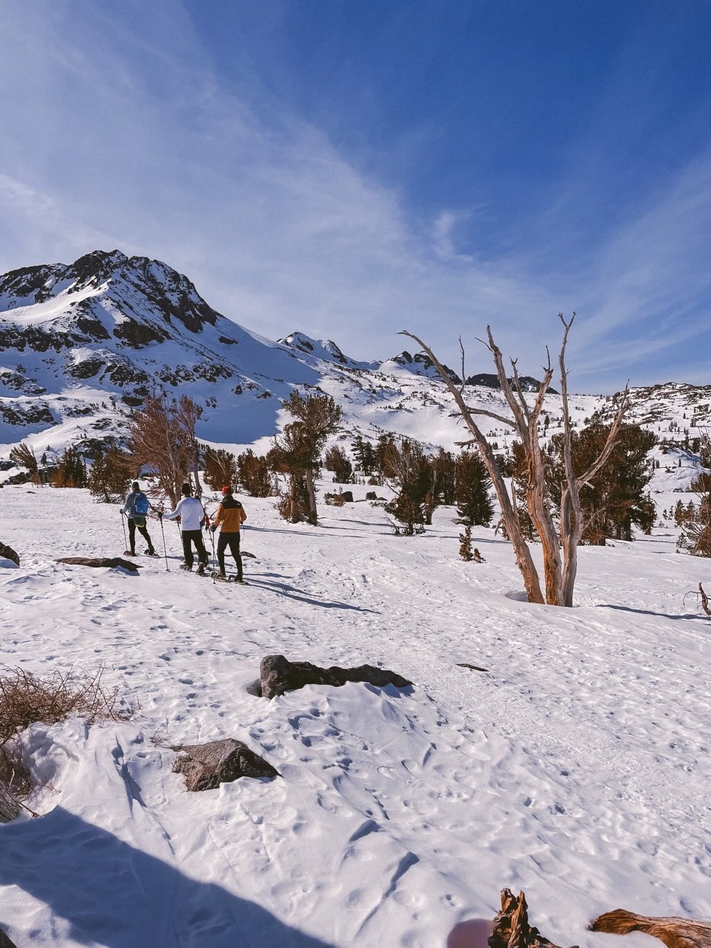 Snowshoeing for Beginners | Dinasdeleon